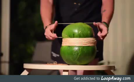 Rubber bands cut a watermelon in half - LoopAway.com